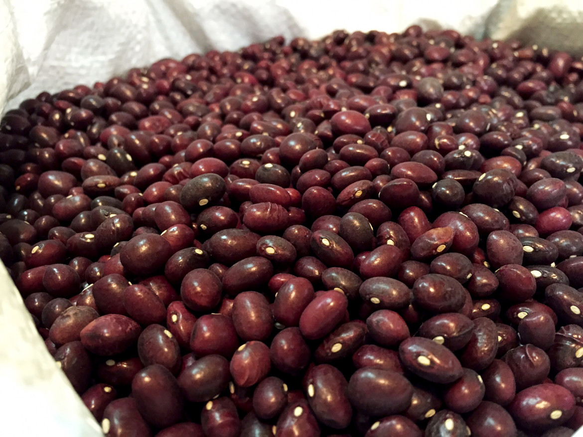 Caricos o “Carico montañés” – INVENTARIO DIETA MEDITERRANEA